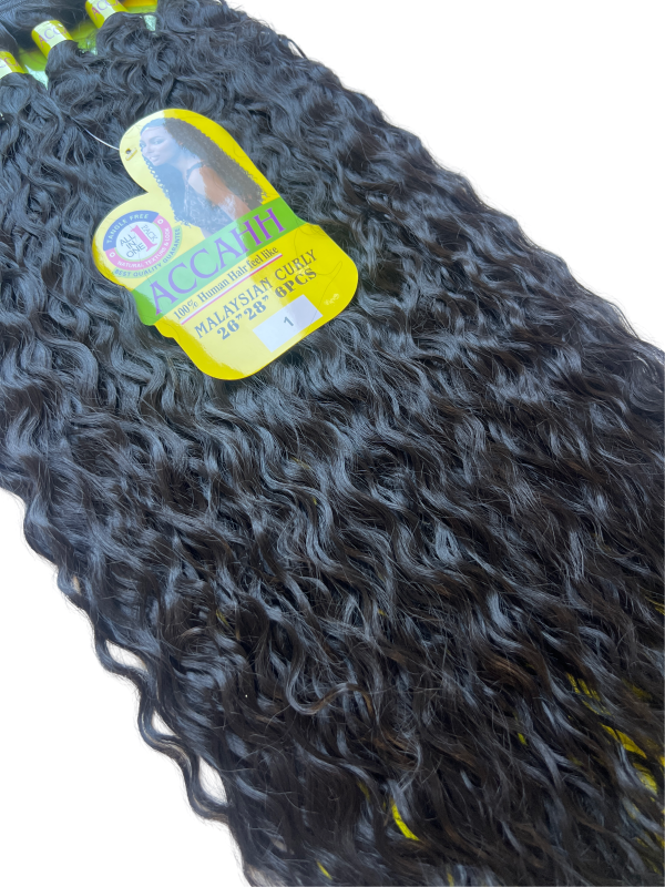 ACCAHH All In One Pack Bundles – Malaysian Curl-Human Touch Hair Blend ...